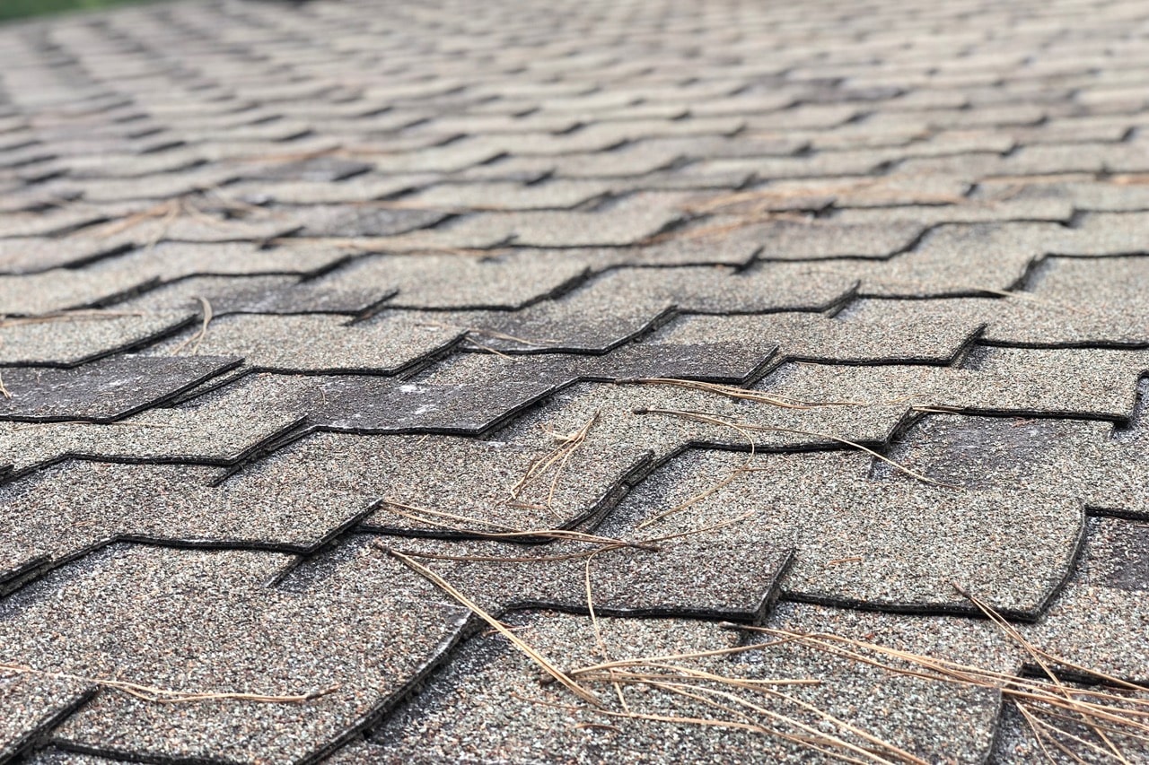 Why Tree Debris is Harmful for Portland Roofs